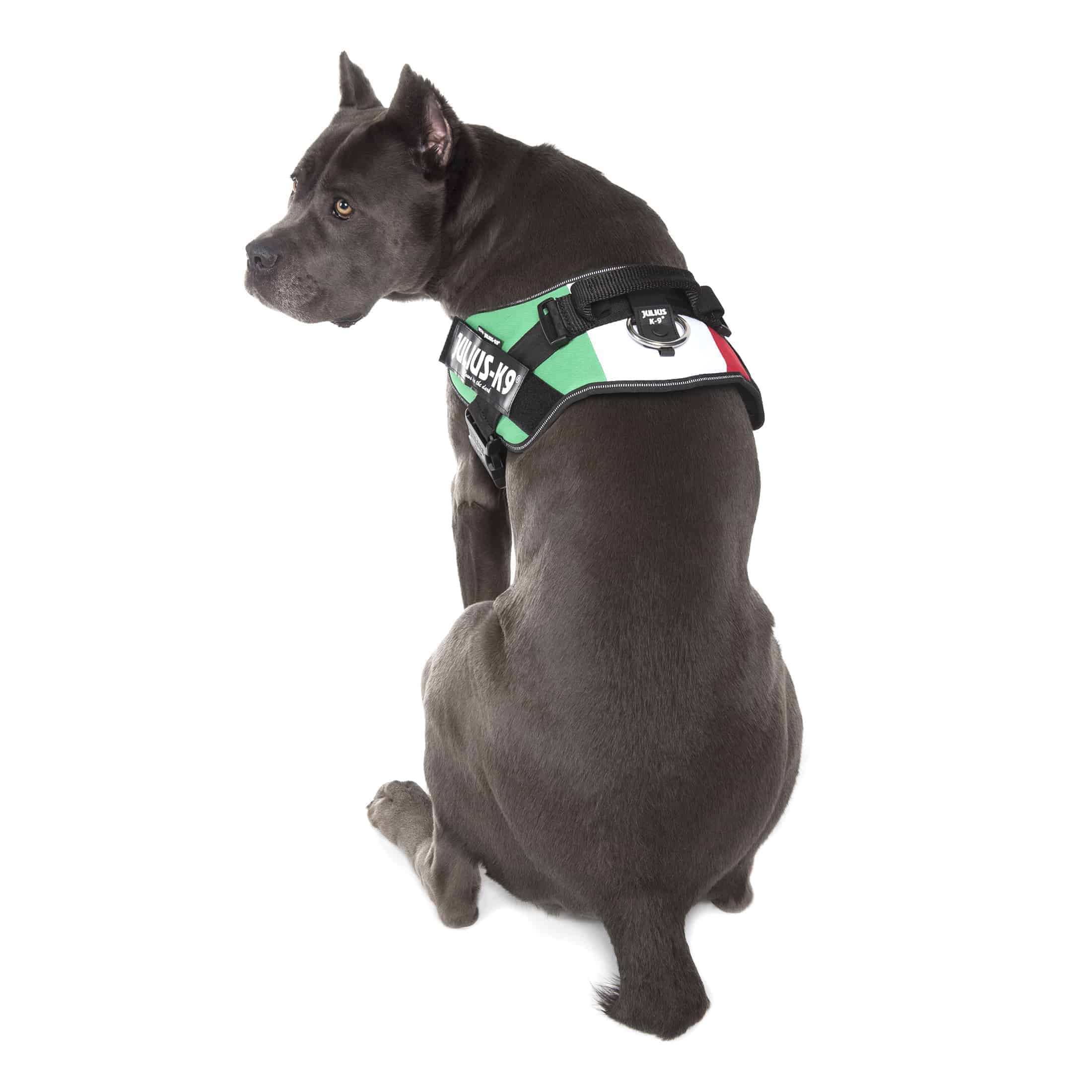Julius K9 IDC | K9 IDC Flag Harness | Products | Petshop Direct