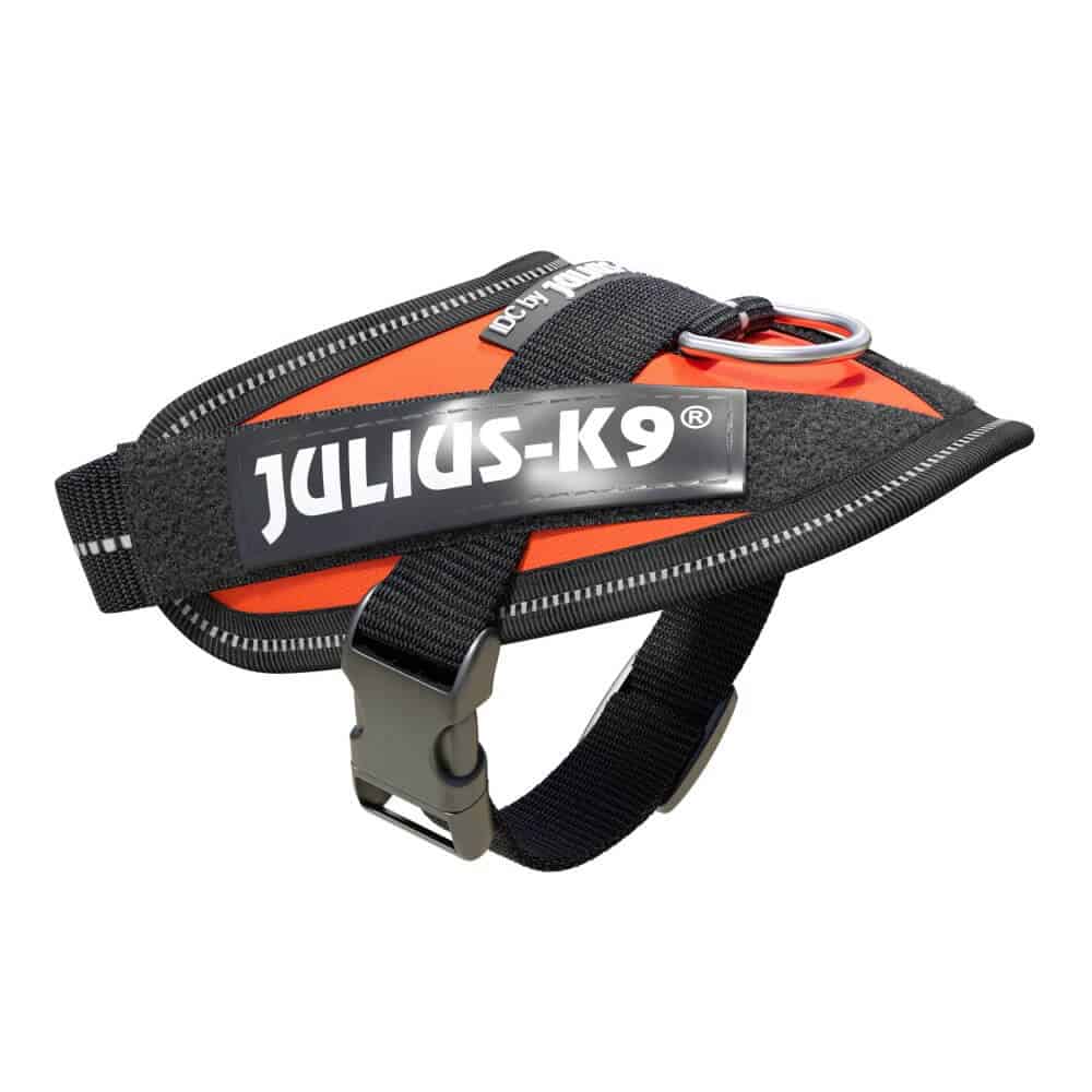 Julius-K9 IDC High Visibility Powerharness | Julius K9 IDC Harness