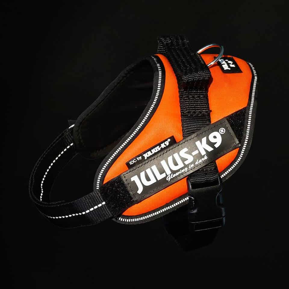 Julius-K9 IDC High Visibility Powerharness | Julius K9 IDC Harness