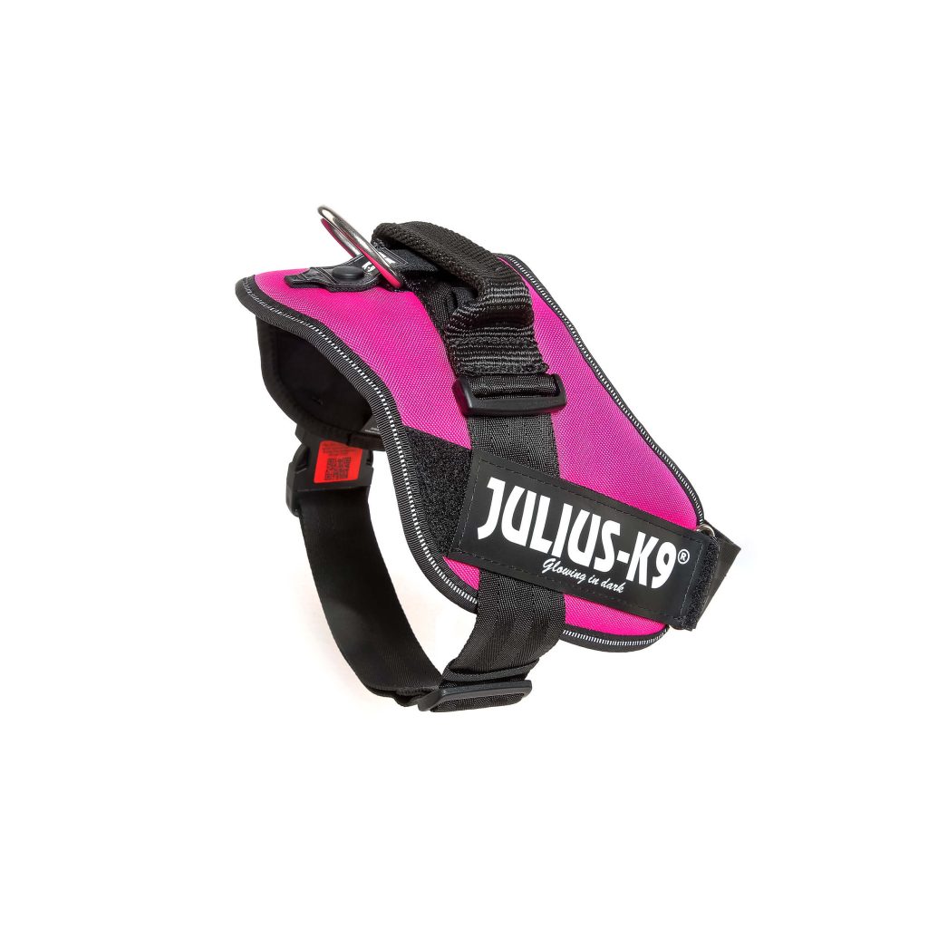 Julius-K9 IDC Dog Powerharness | Products | Petshop Direct
