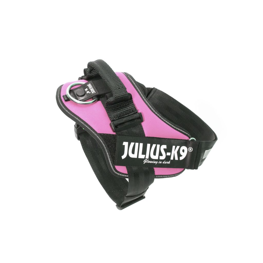 Julius-K9 IDC Dog Powerharness | Products | Petshop Direct