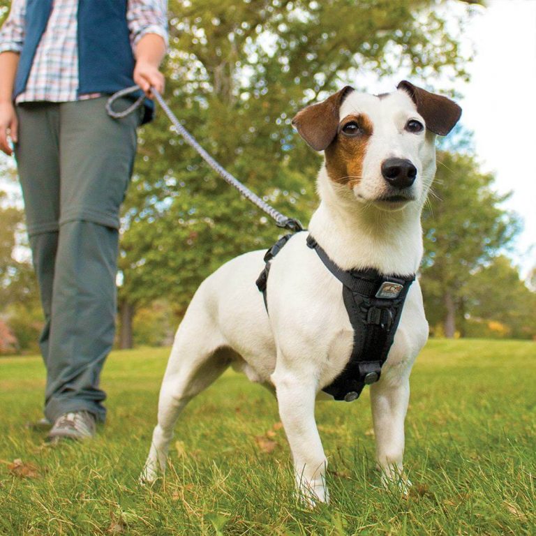 Kurgo Enhanced Strength Tru-Fit No Pull Dog Harness | Crash Tested